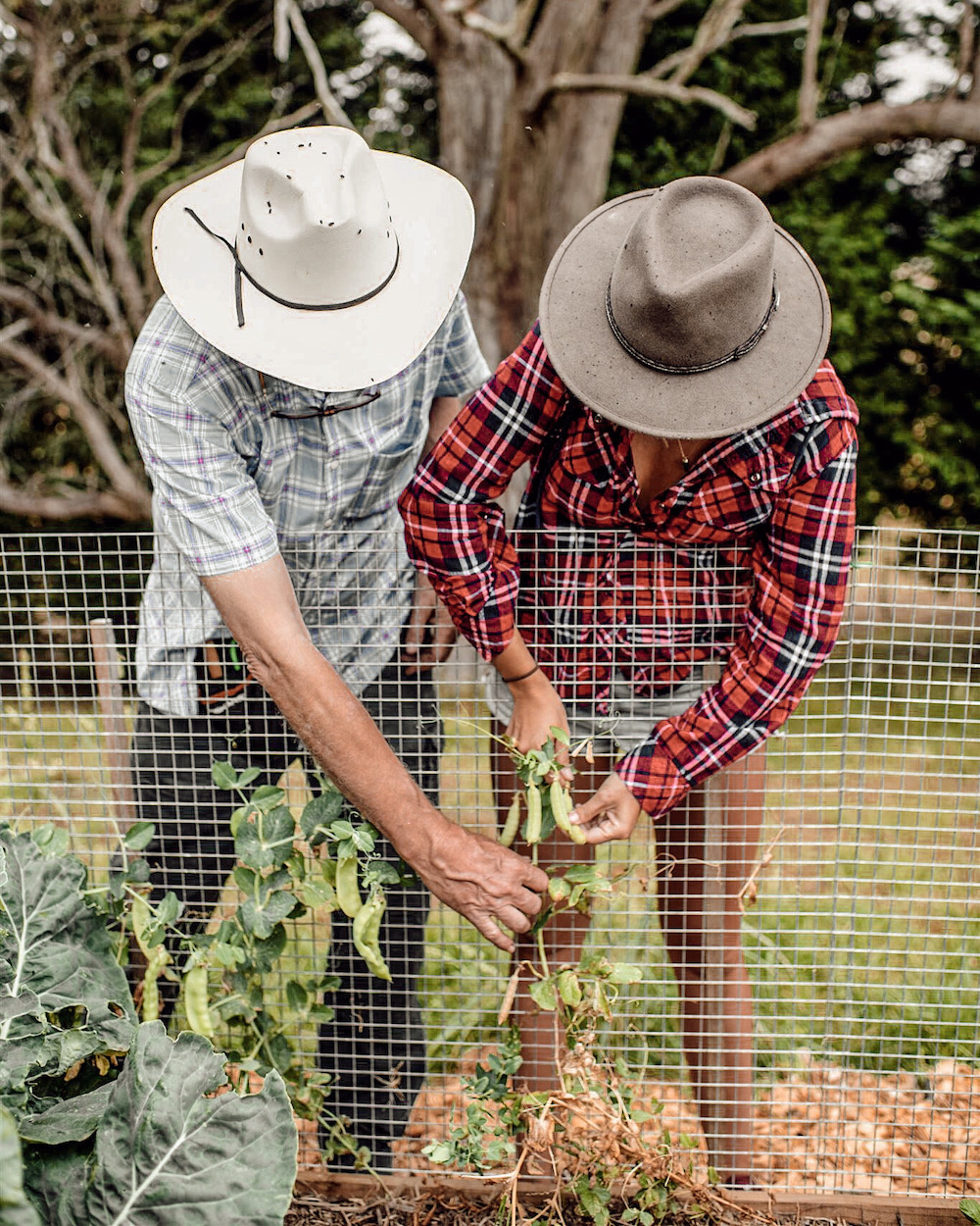 Springfield Farm Retreat | Grow An Edible Garden | LUX NOMADE
